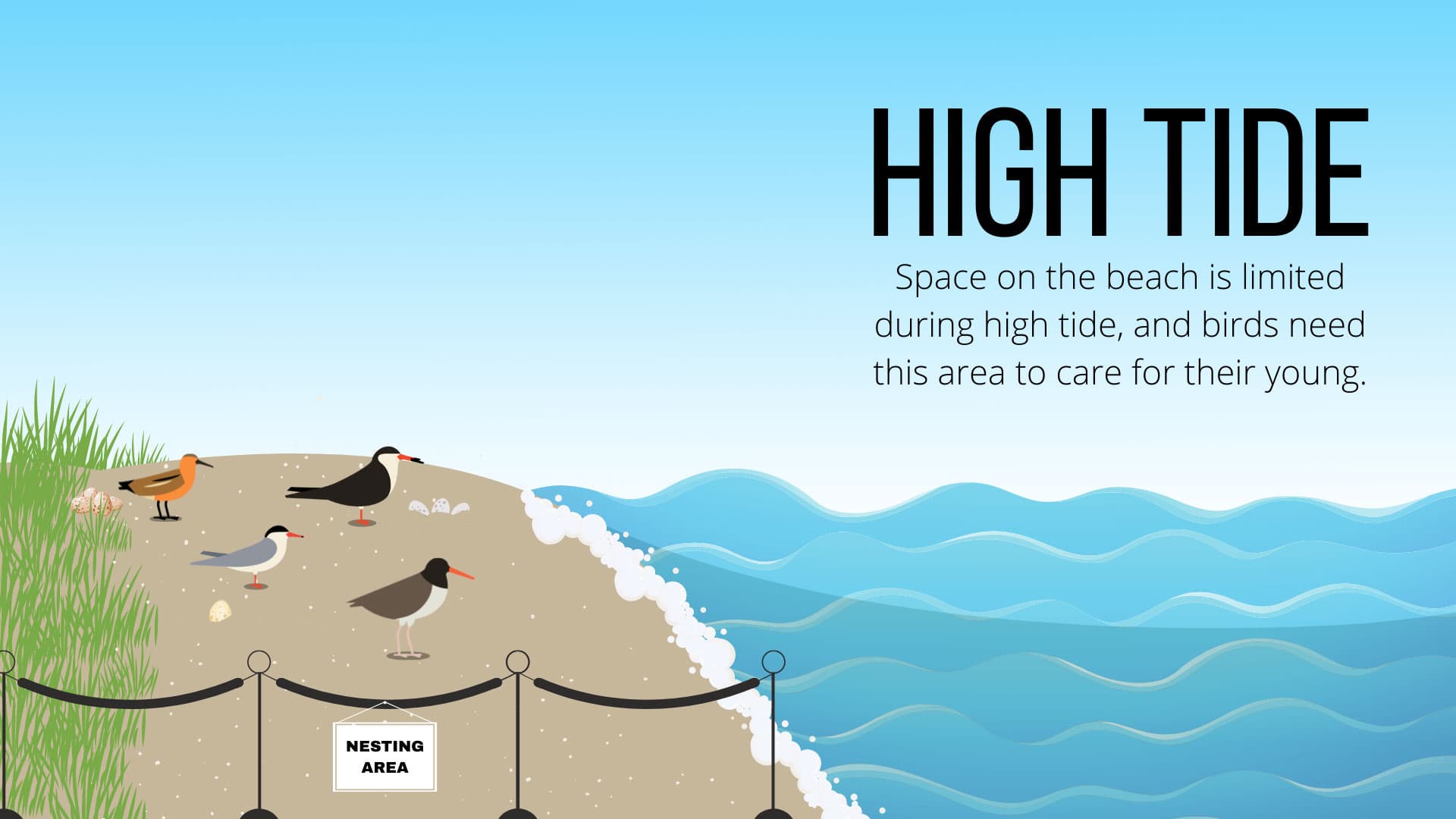 Graphics and Signage - Share Our Shores