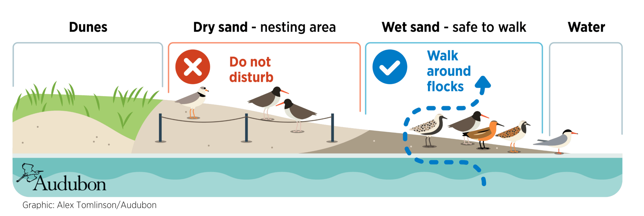 Graphics and Signage - Share Our Shores